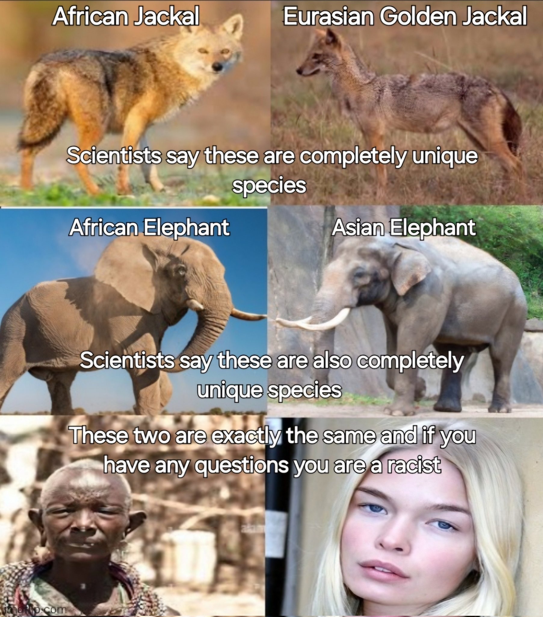 Out of Africa theory - freethinkers - soj.ooO