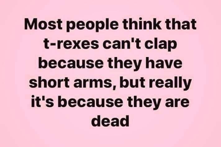 🦖 - funny - soj.ooO